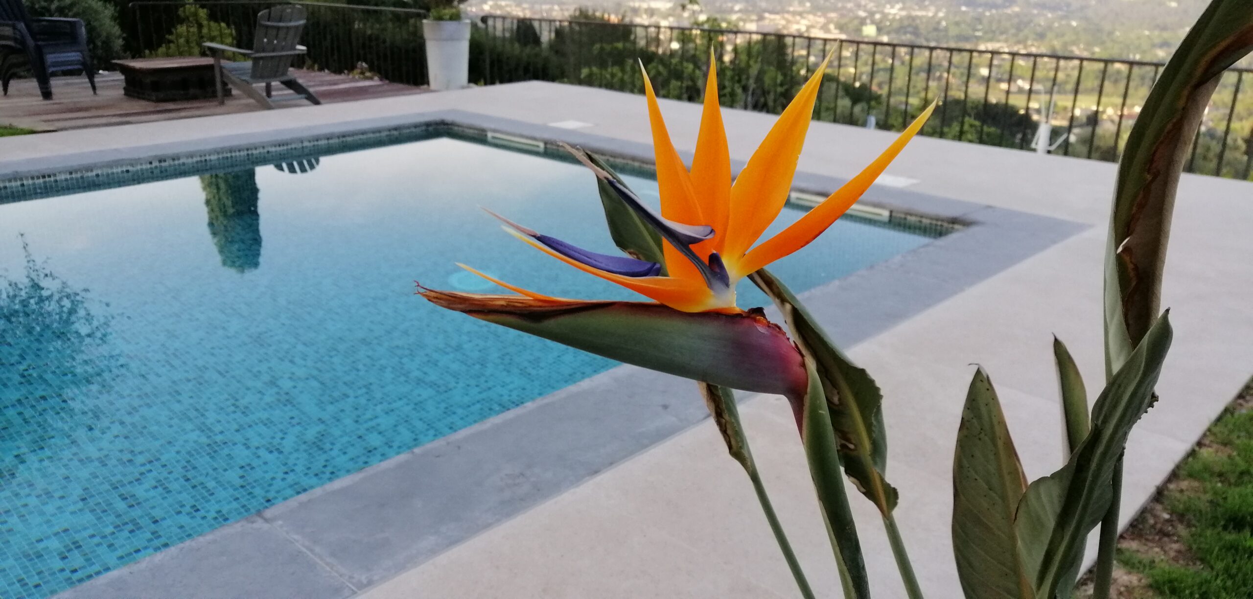 Galerie – L'OLIVERAIE DE VIREVENT