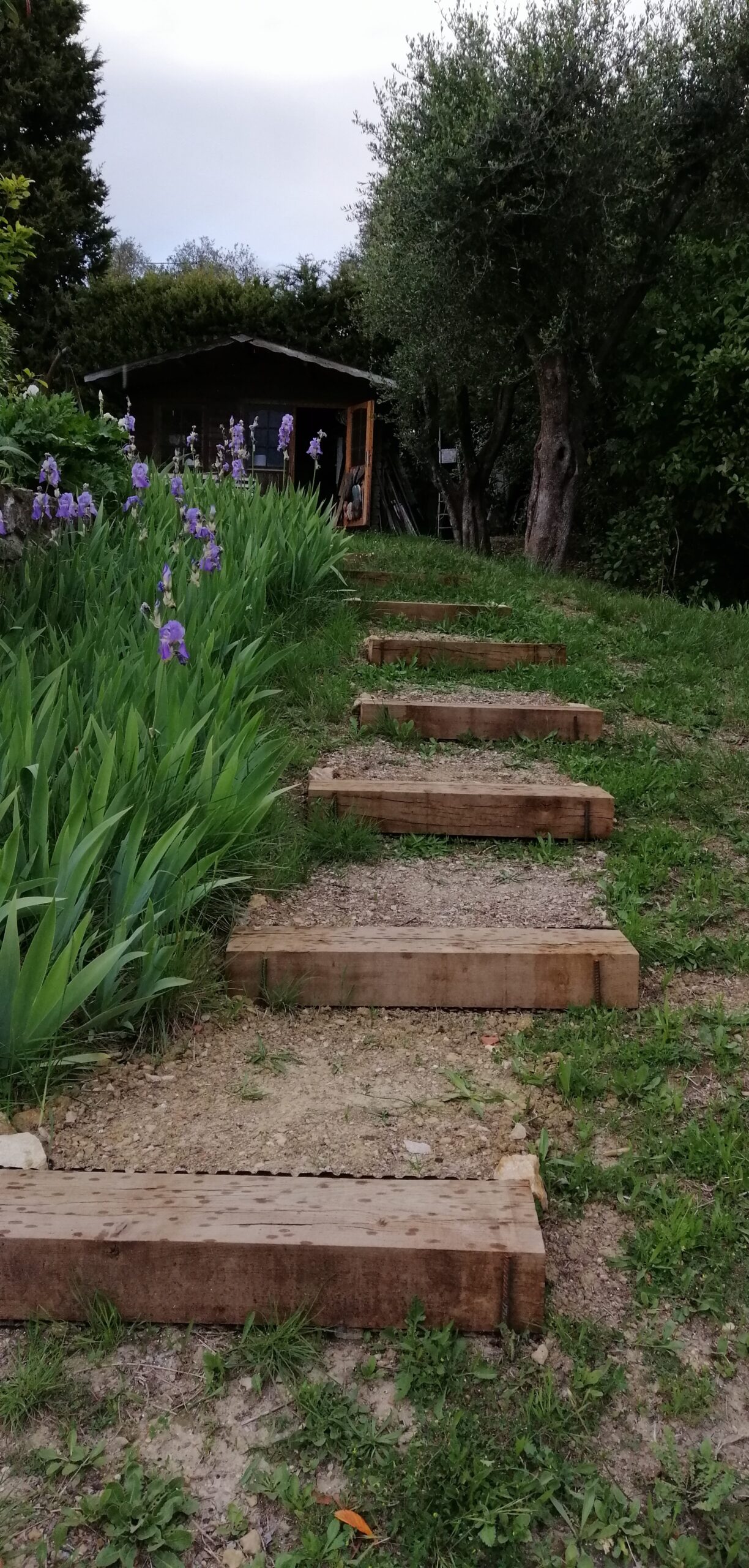 Galerie – L'OLIVERAIE DE VIREVENT